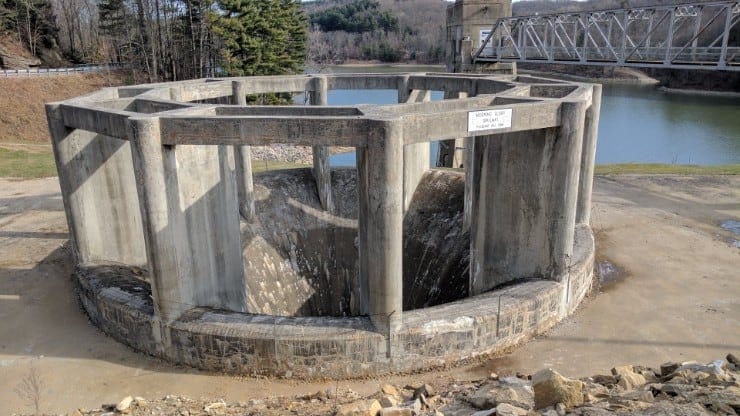Morning Glory Spillway Fish